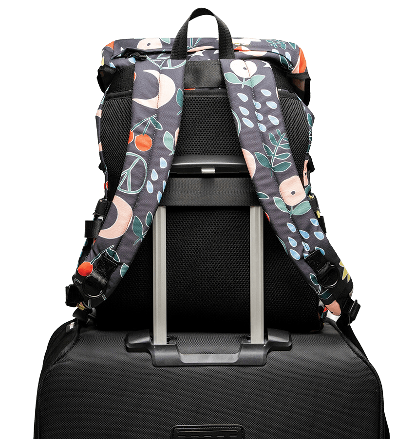 The Parent Backpack, Park Icon – Colugo